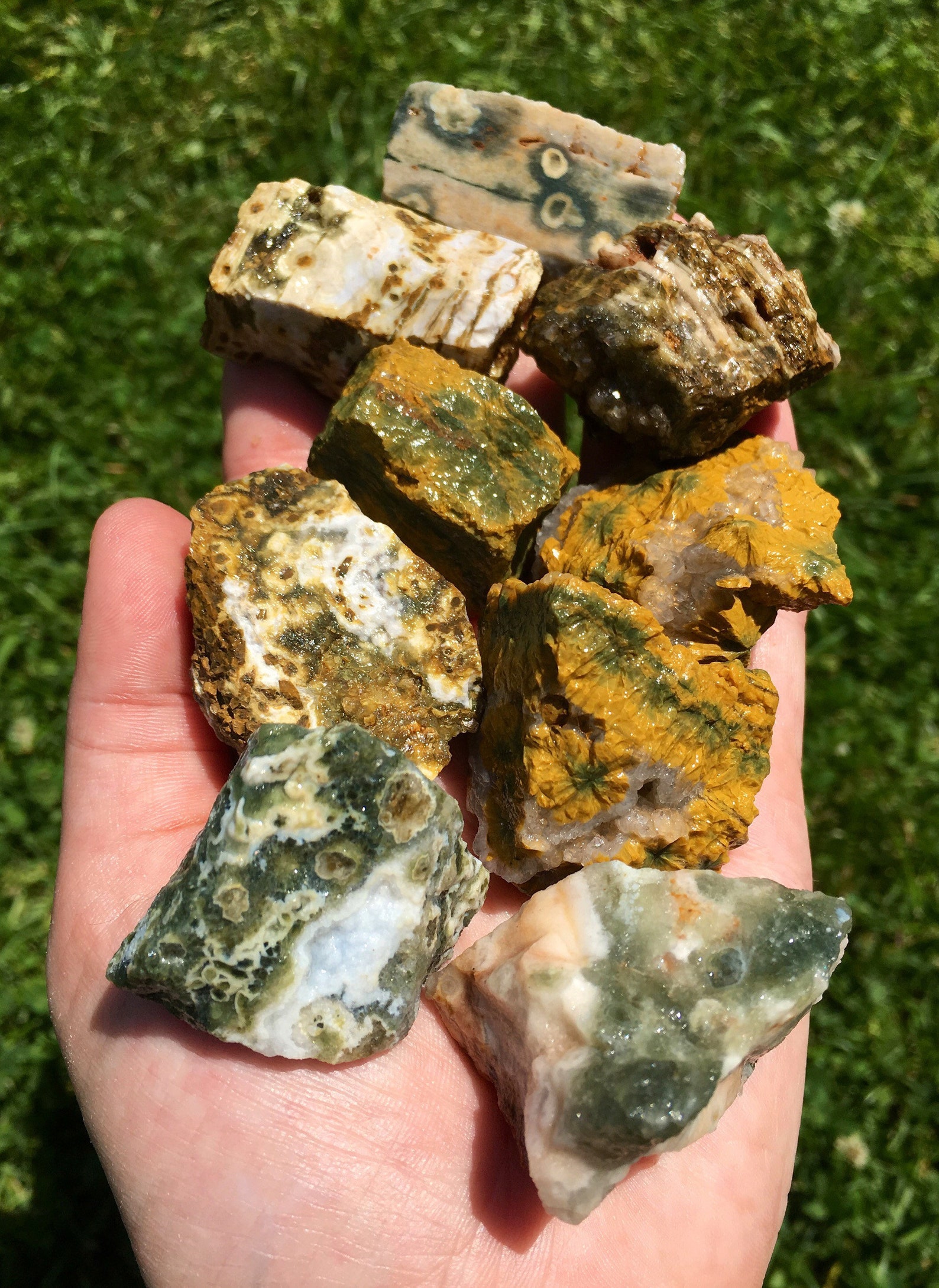 Raw Ocean Jasper Stone Raw Stones Orbicular Jasper | Etsy