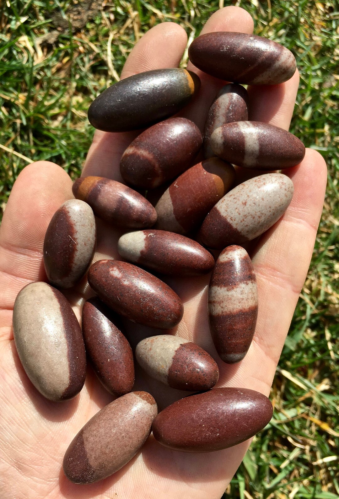 Shiva Lingam Tumbled Stone - Multiple Sizes Available - Small Shiva ...