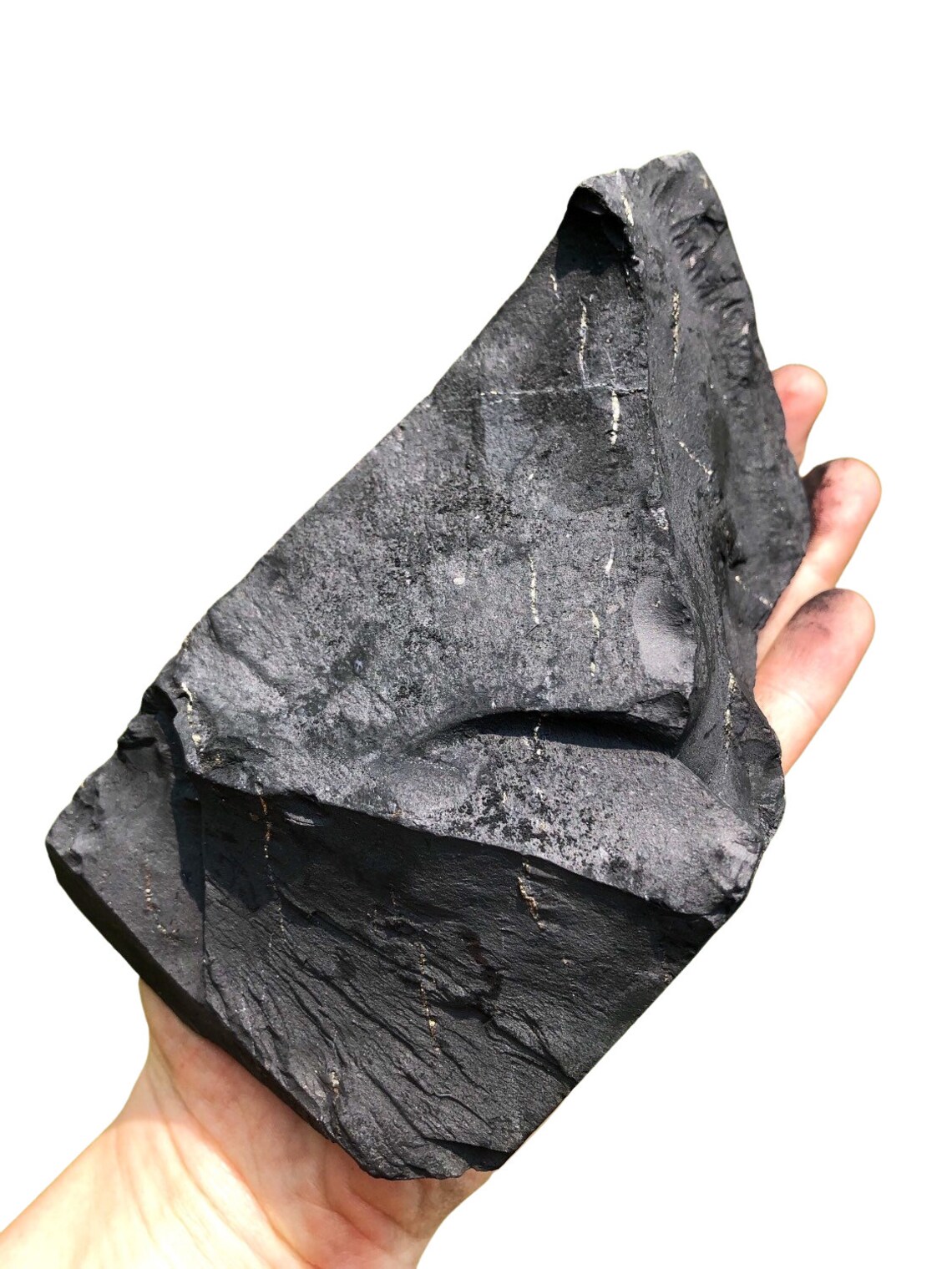 Raw Shungite Stone .5 12 Rough Shungite From - Etsy