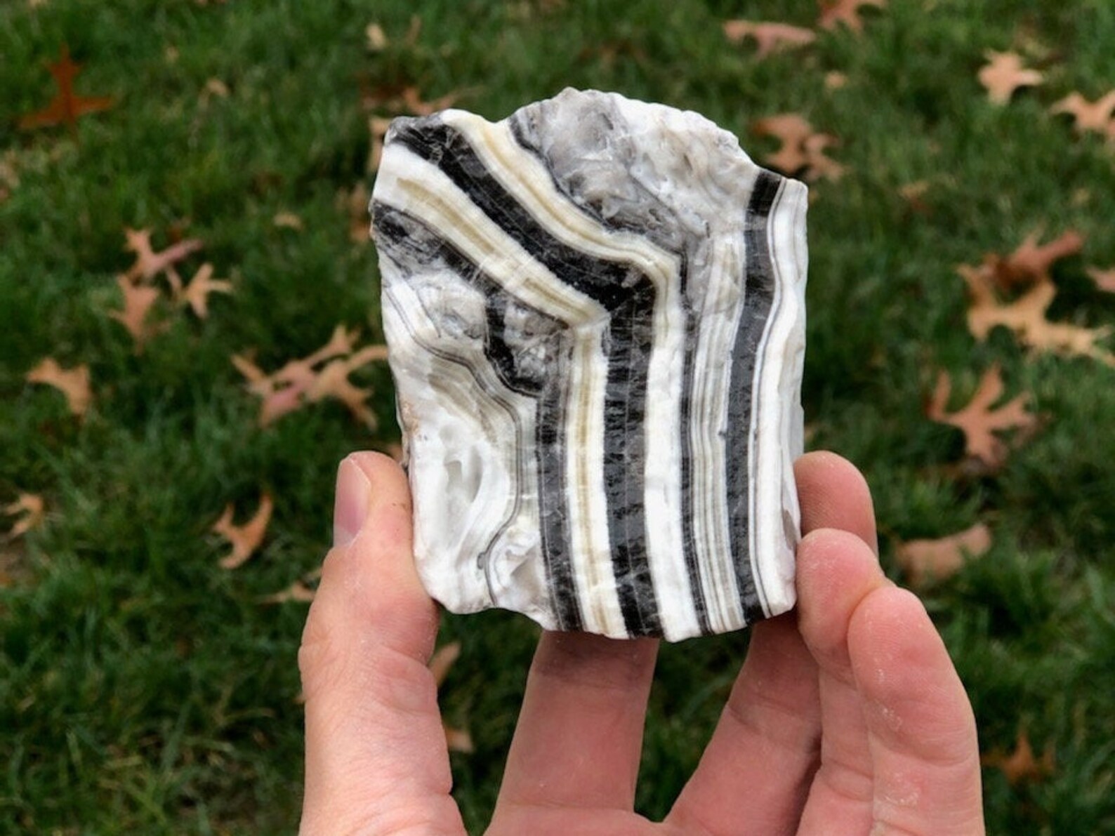 Phantom Calcite Stone Zebra Calcite Stone raw Zebra | Etsy