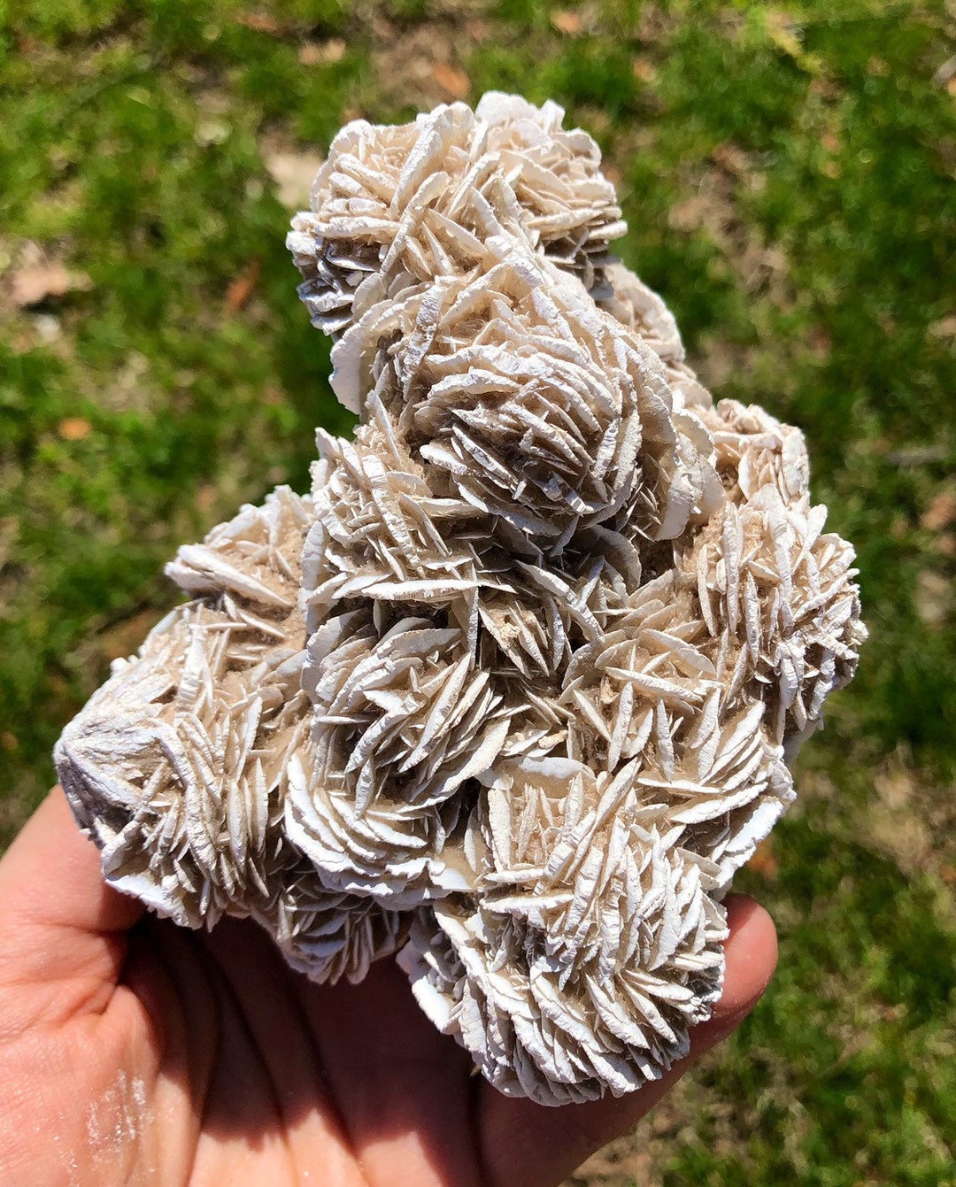Raw Desert Rose Selenite Cluster - Raw Gypsum Desert Rose Cluster ...