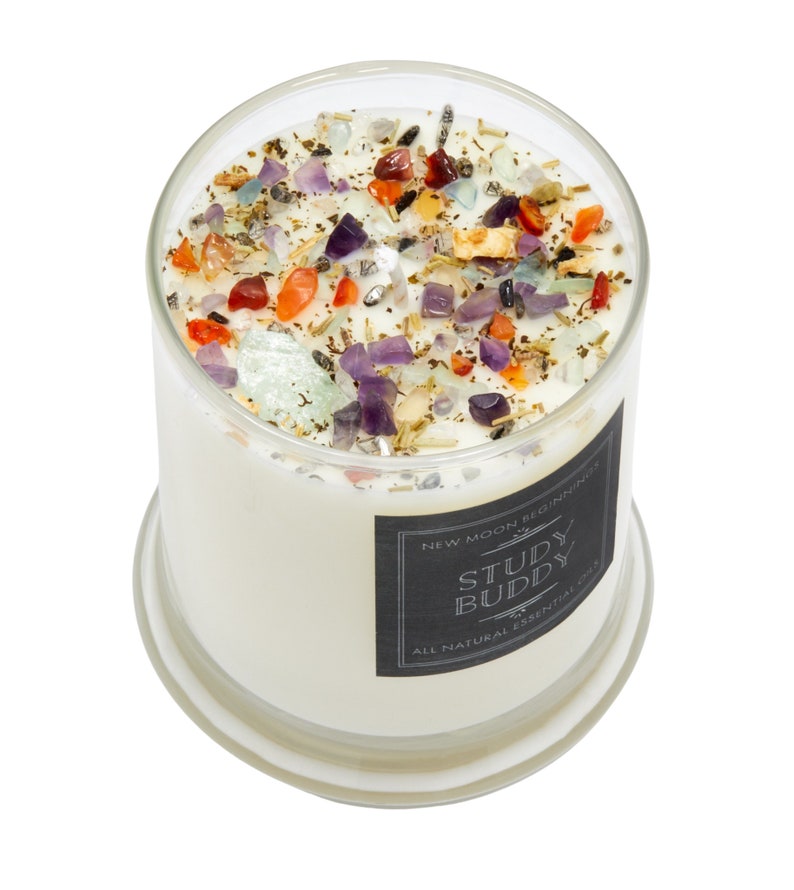 Study Buddy Candles Focus & Concentration Crystal Herb - Etsy UK