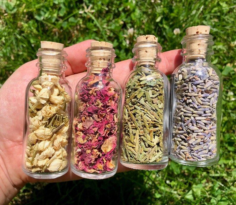 Herb Apothecary Herbs Jars Dried Herbs And Flowers Craft Etsy