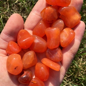 Carnelian Tumbled Crystal - Multiple Sizes Available - Polished Carnelian Gemstone - Tumbled ...