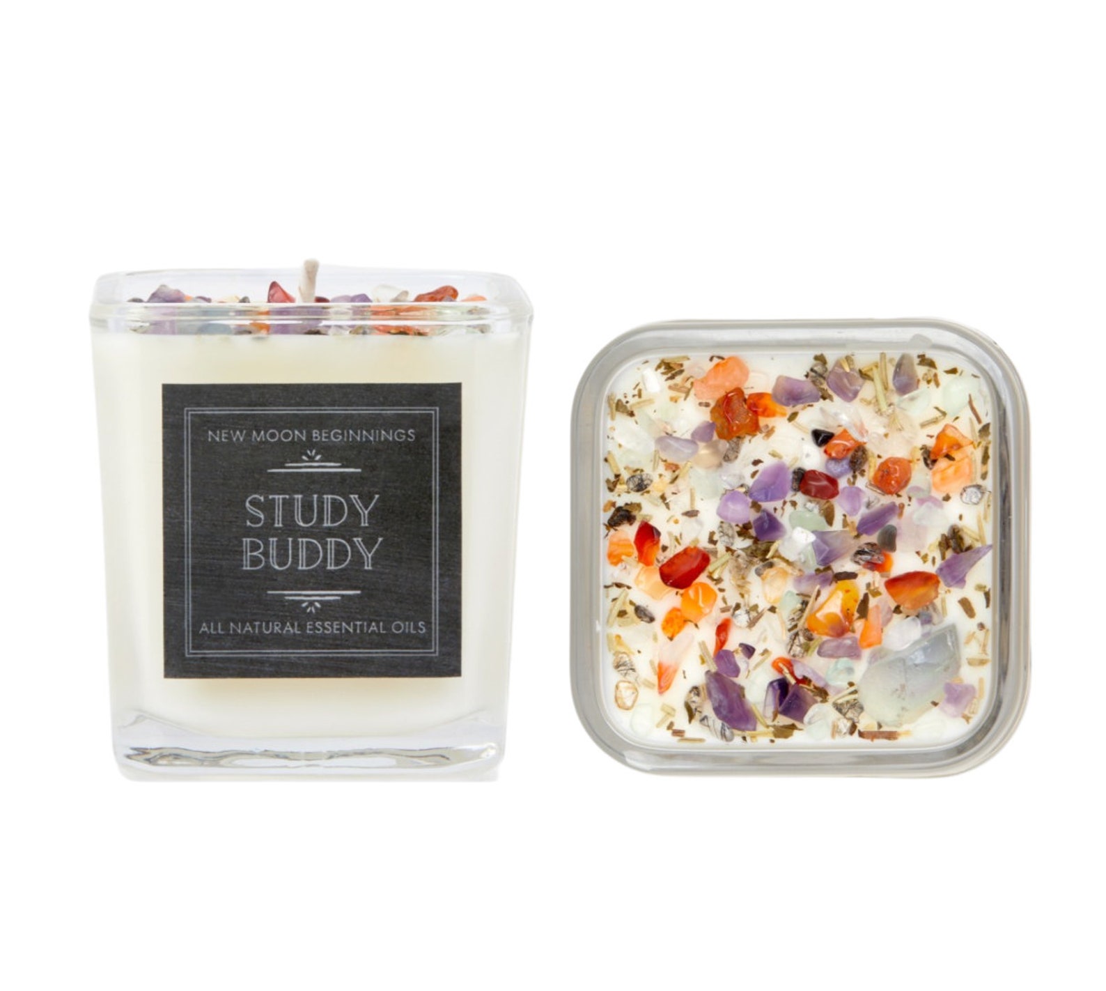 Study Buddy Candles Focus & Concentration Crystal Herb - Etsy UK