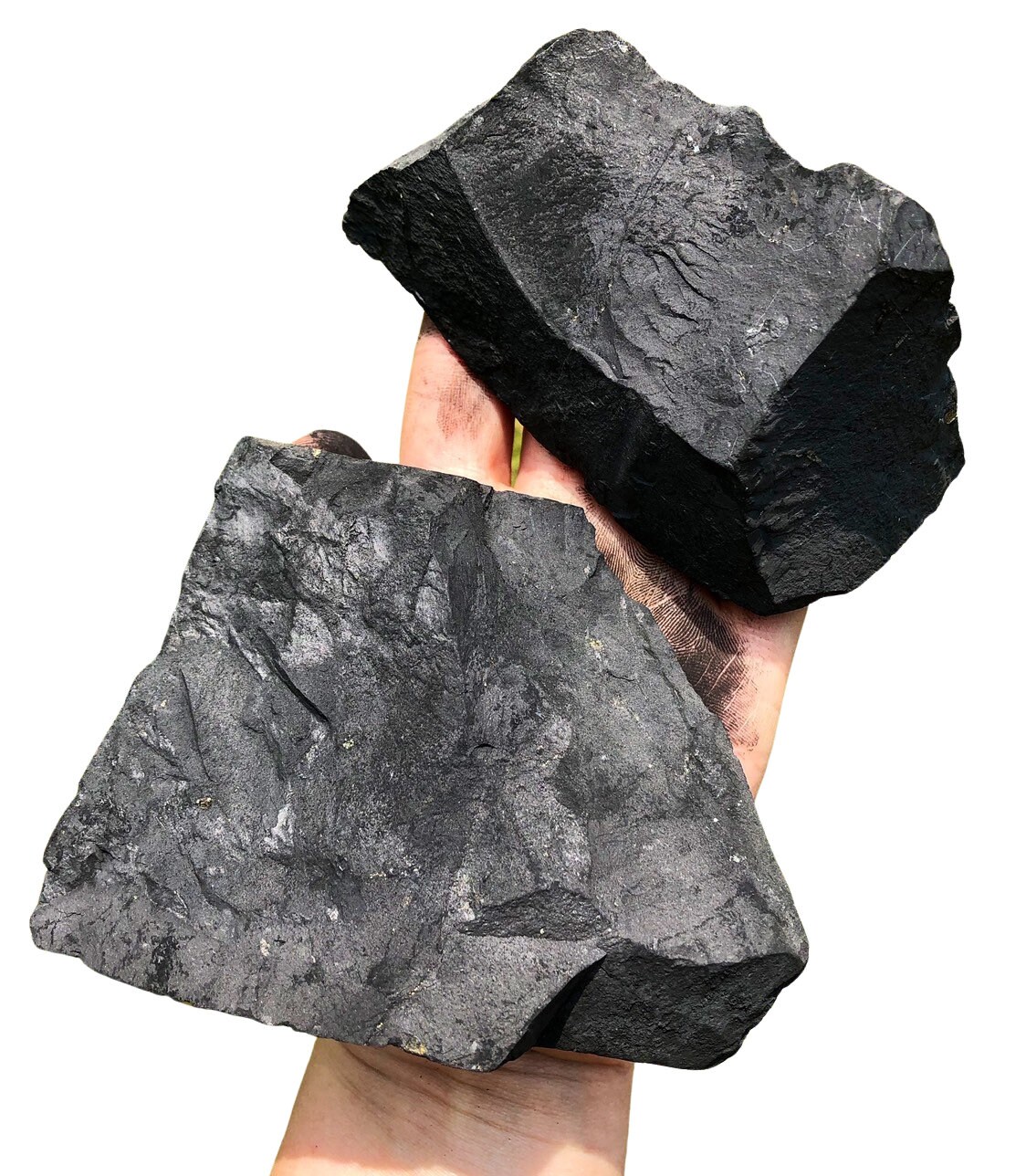 Raw Shungite Stone .5 12 Rough Shungite From - Etsy Singapore
