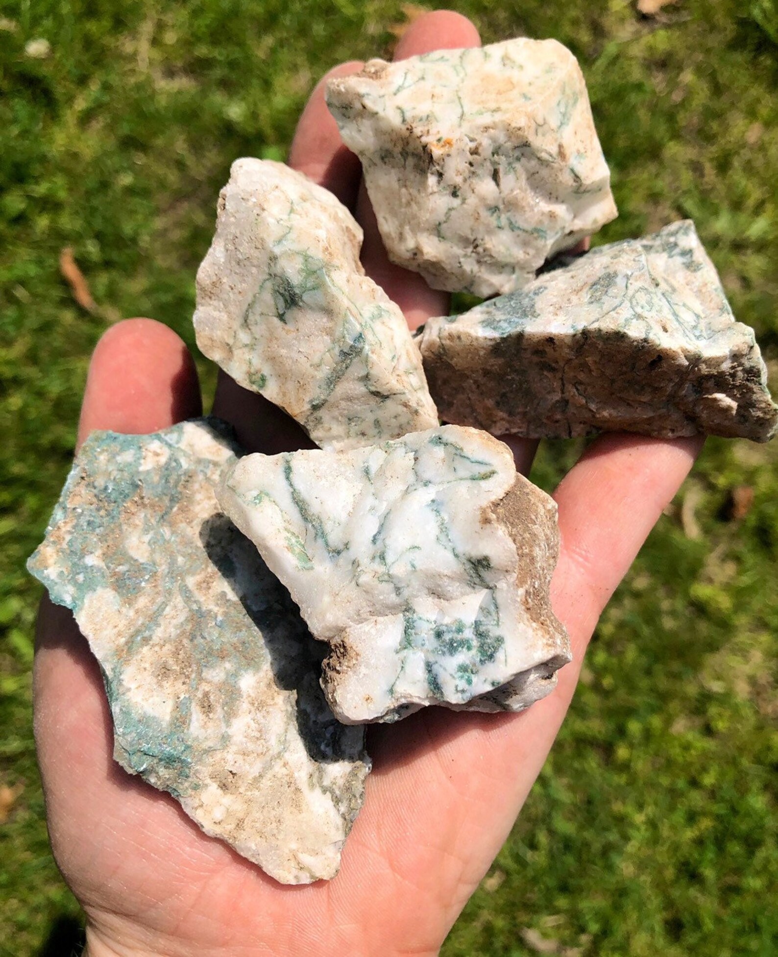 Raw Tree Agate Stone Raw Stones Raw Tree Agate Crystal - Etsy