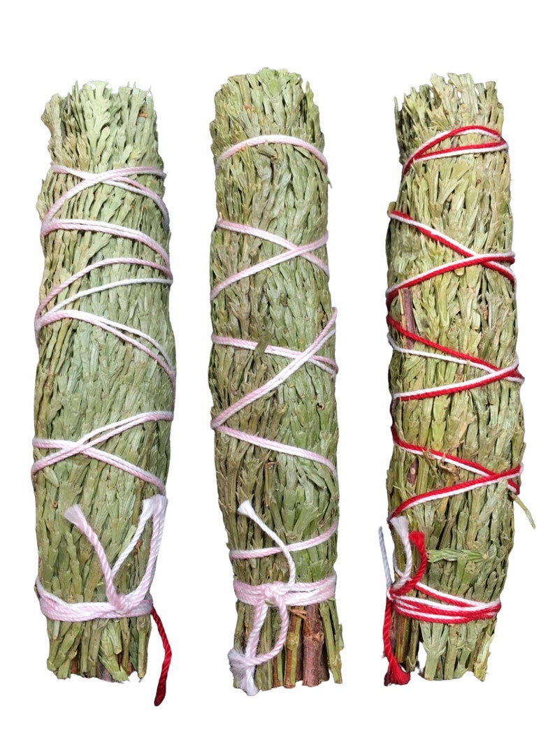Cedar Stick - 4" Dried Cedar Herb Bundle - Cedar Wand - Cedar Incense ...