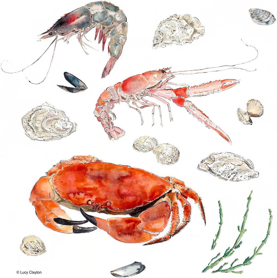 British Seafood Print. Shellfish Poster, Watercolour Crab, Prawn ...