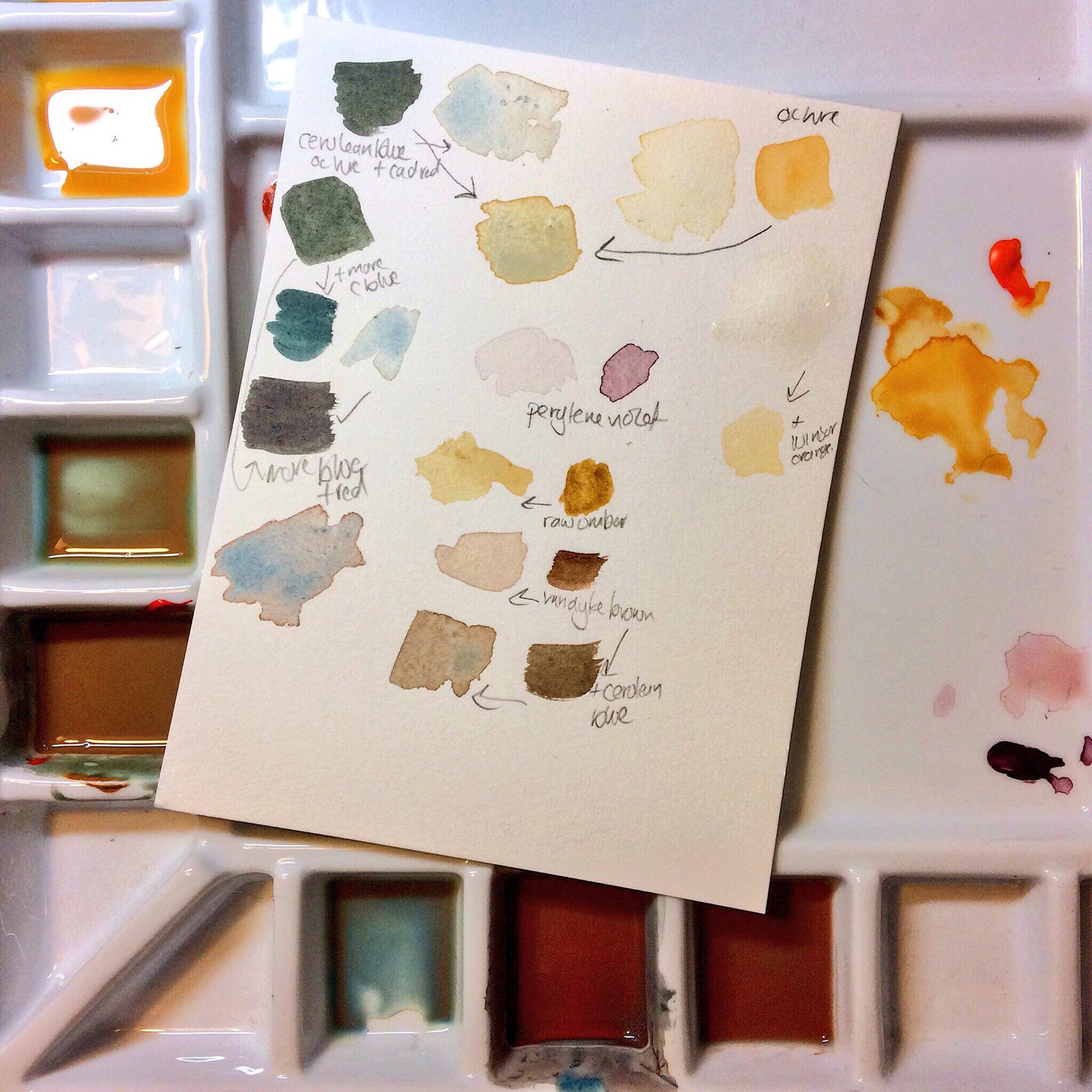 Watercolor Limpet Shells Print: Coastal Beach House Decor (A4) - Etsy