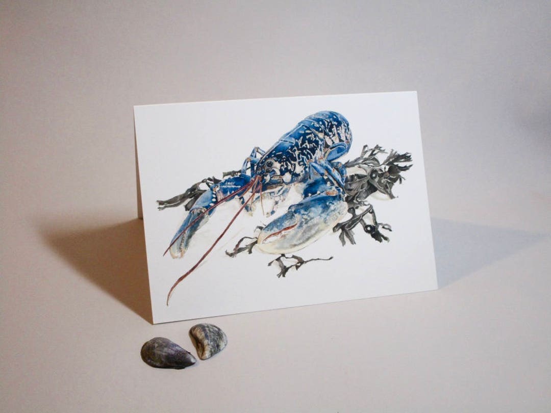 Lobster Mates for Life Card: Watercolour Seafood Anniversary Card - Etsy