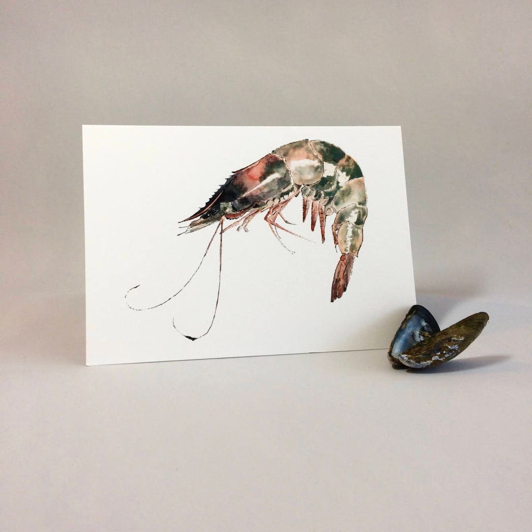 Prawn Card Any Occasion Card for Seafood Lover / Fisherman - Etsy