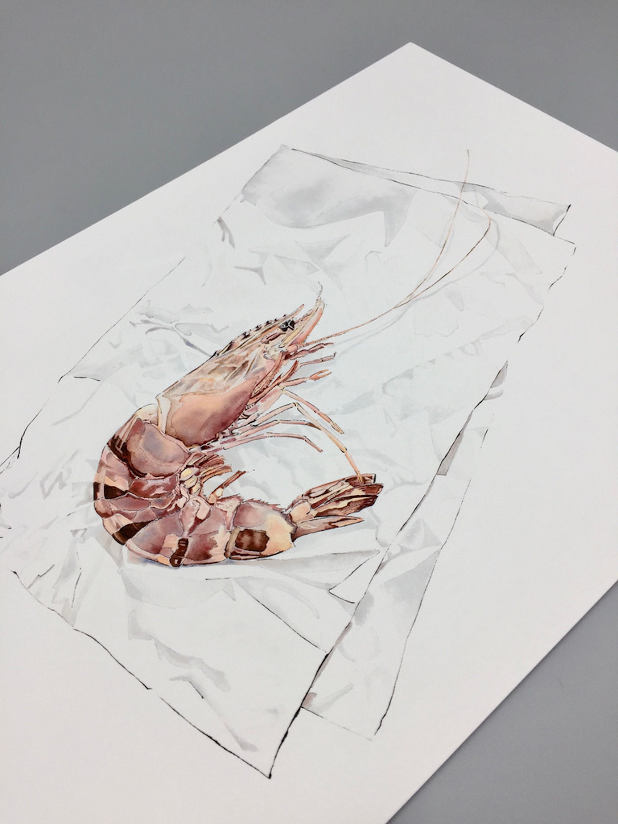 Tiger Prawn Print, Watercolour Shrimp Poster, Pink Wall Art, Kitchen ...