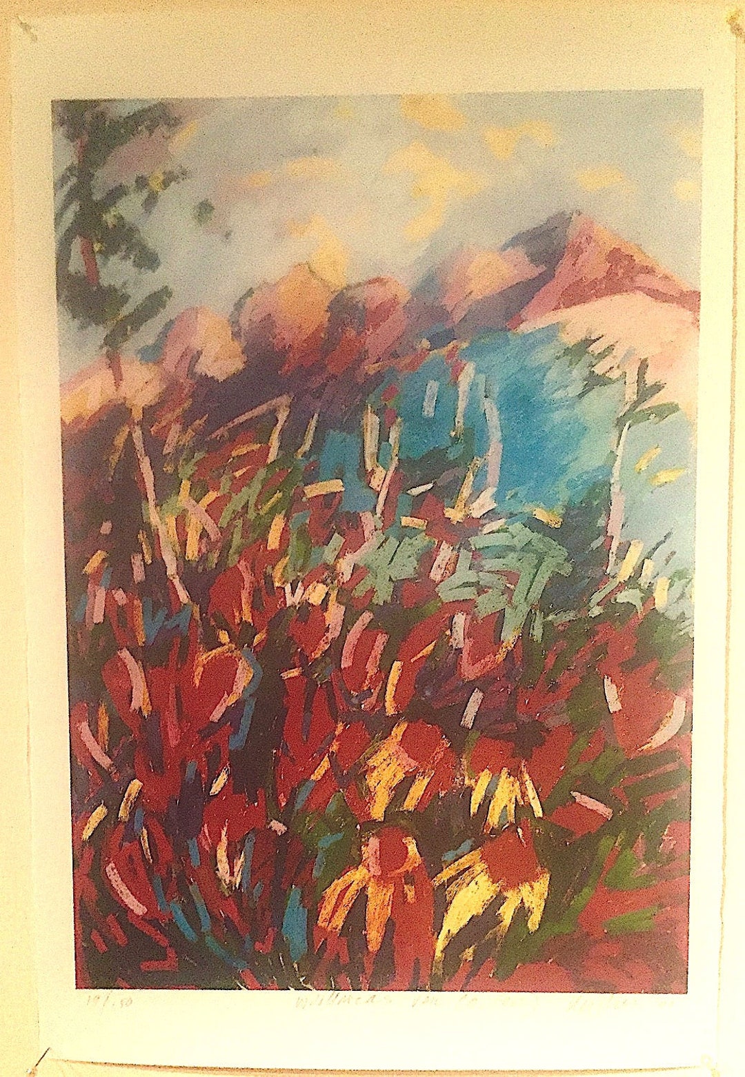 Closeout Rocky Mountain Spring, Vail, Colorado, 30 X 22 Inches, - Etsy