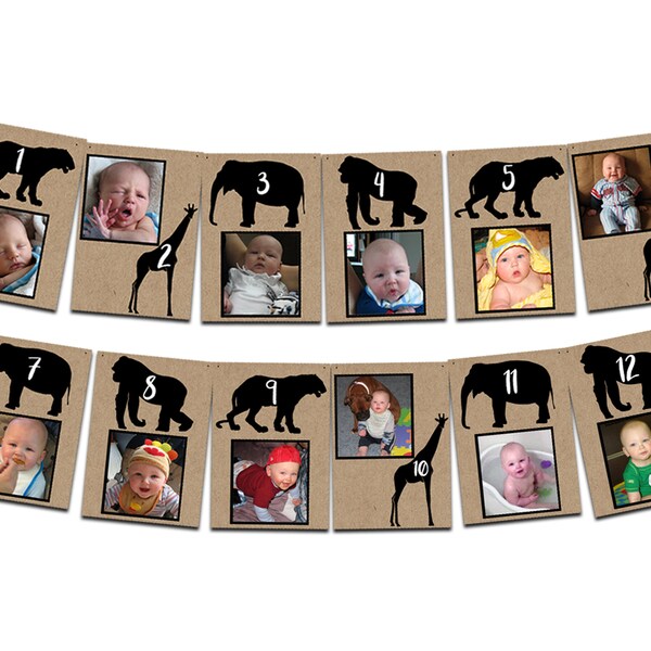 12 Month Banner - Etsy