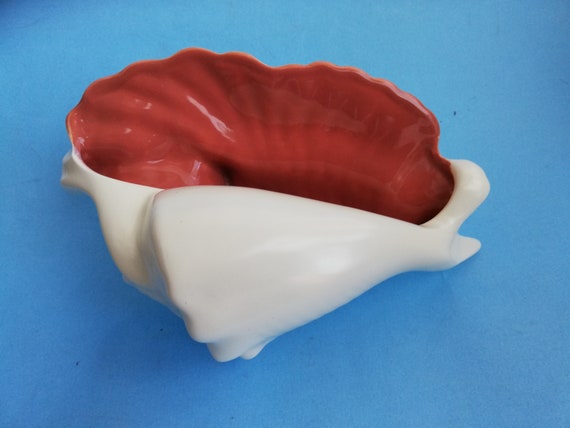 Poole Pottery Conch Shell C96 White and Red Indian Pre 1966 - Etsy