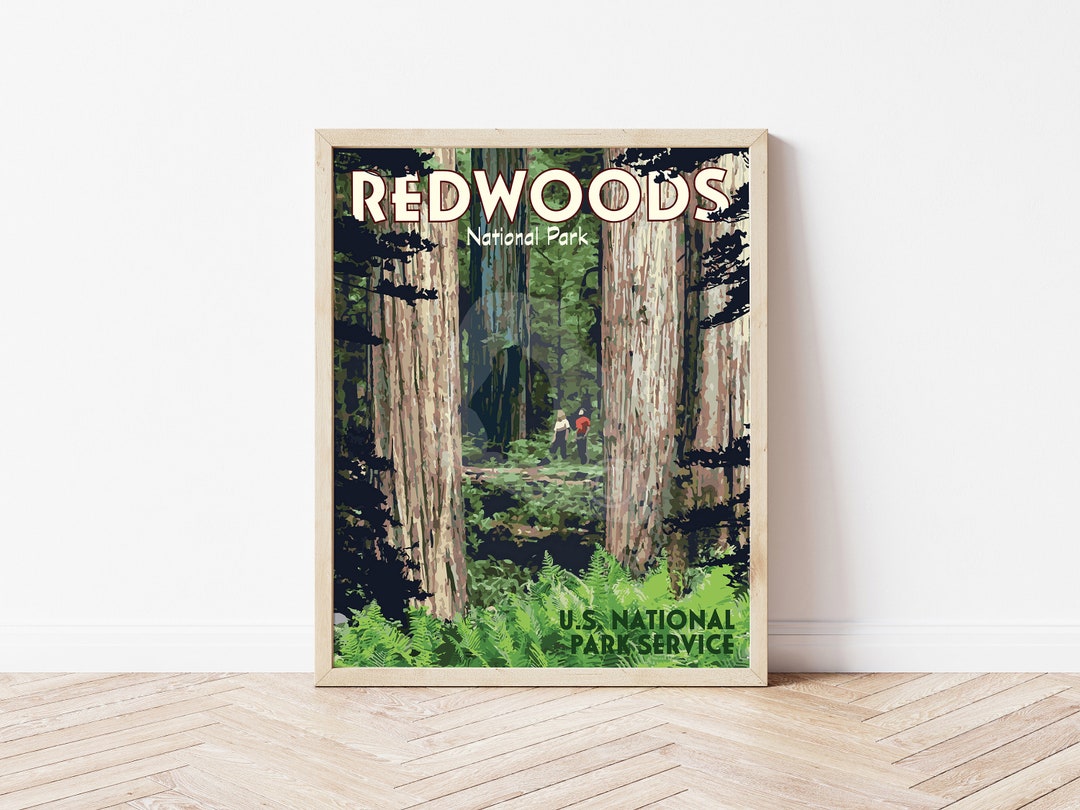 Redwoods National Park Vintage Style Travel Poster, Redwoods National ...