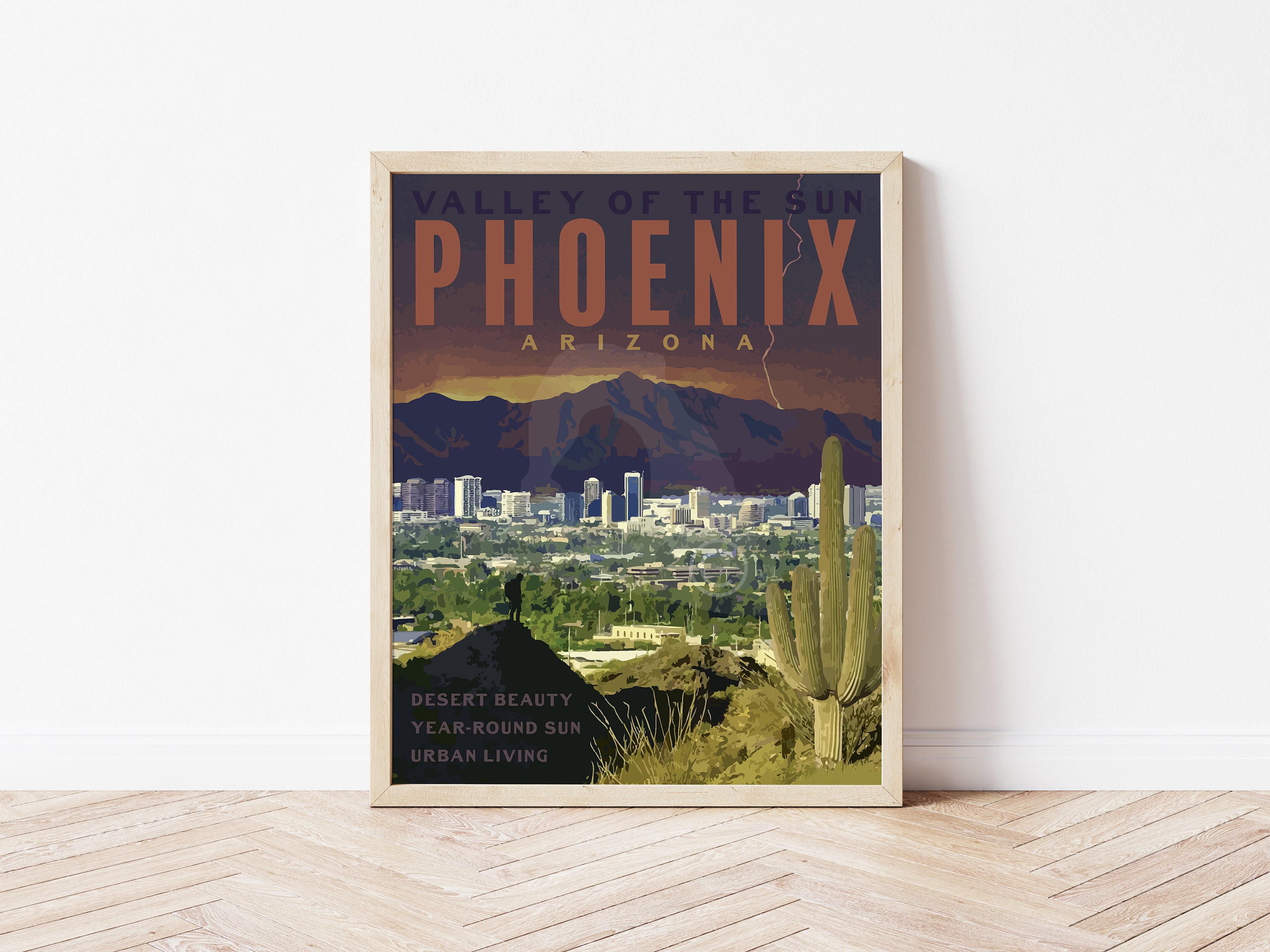 Phoenix City Desert