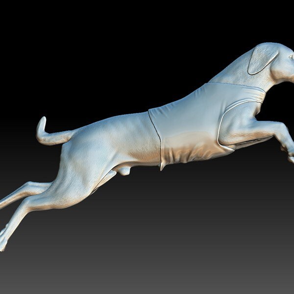3D STL File for CNC Dog V19 - Etsy