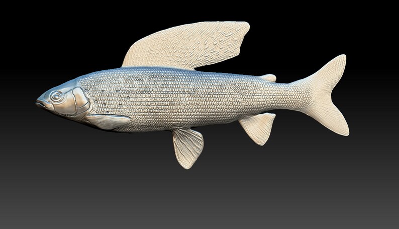 Fish Set 3D STL Model for CNC 5 Stl Files With Hi Details - Etsy