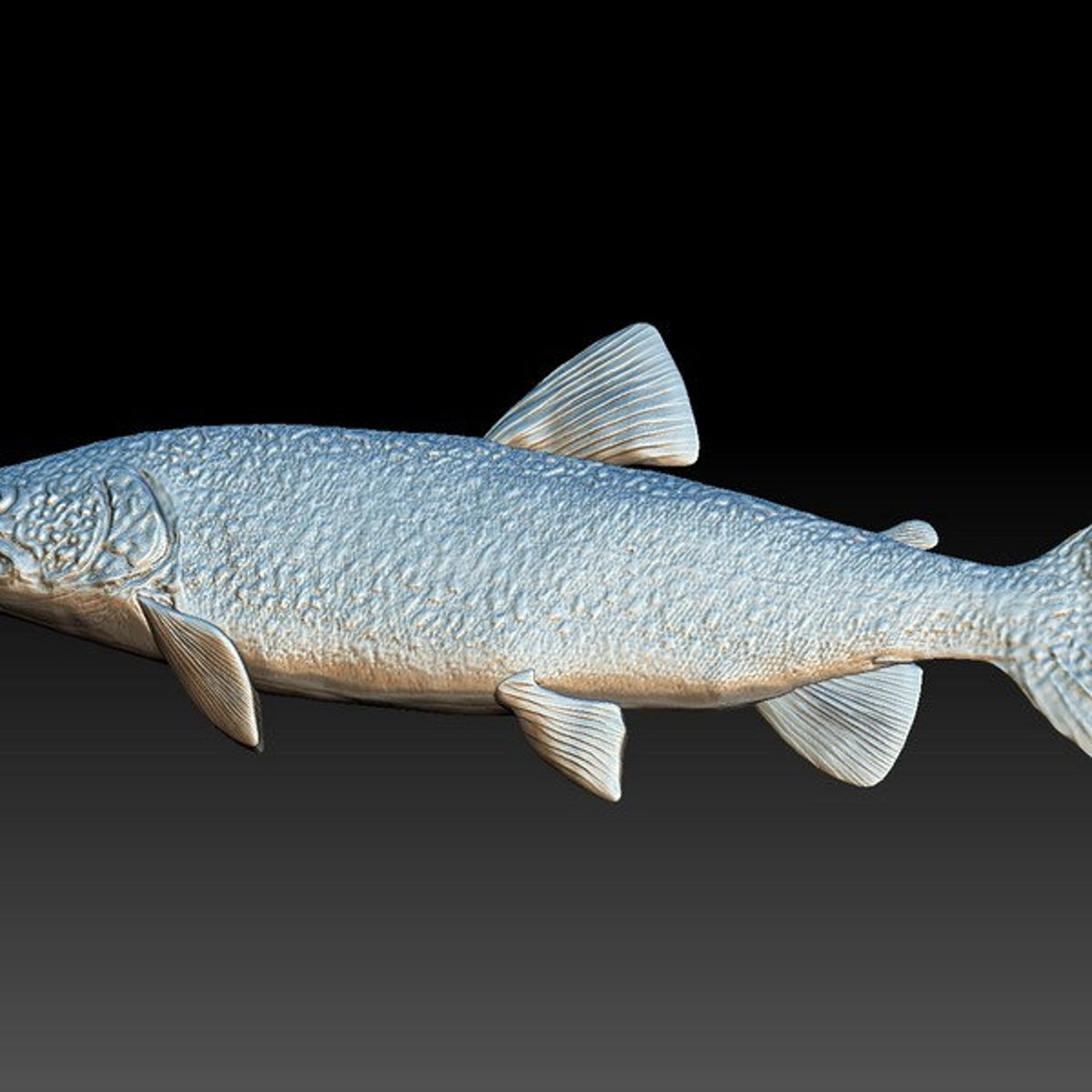3D STL File for CNC - Fish Salmon - Etsy