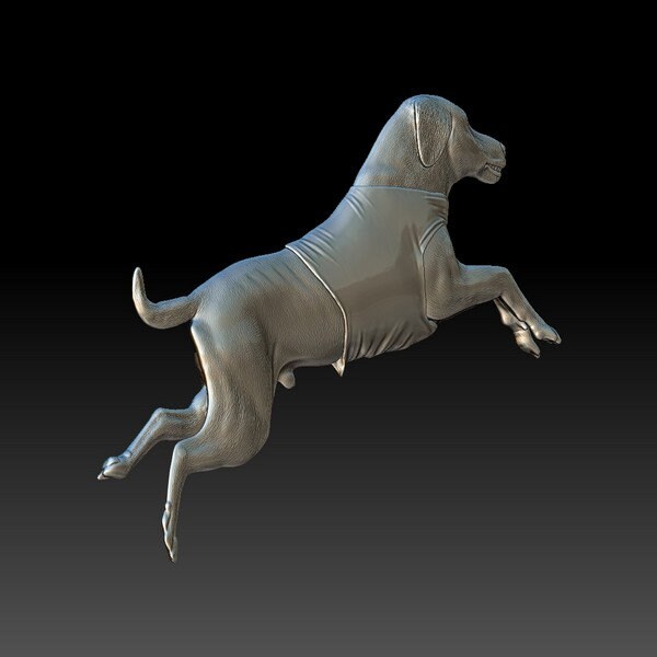 3D STL File for CNC Dog V19 - Etsy