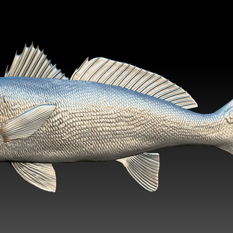 3d Files Red Fish - Etsy