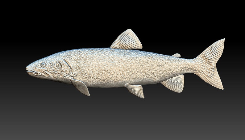 Fish Set 3D STL Model for CNC 5 Stl Files With Hi Details (Instant ...