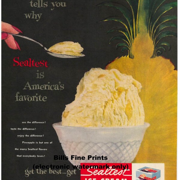 Sealtest Ice Cream - Etsy
