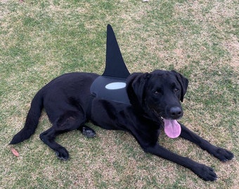 Orca Dog Costume - Etsy
