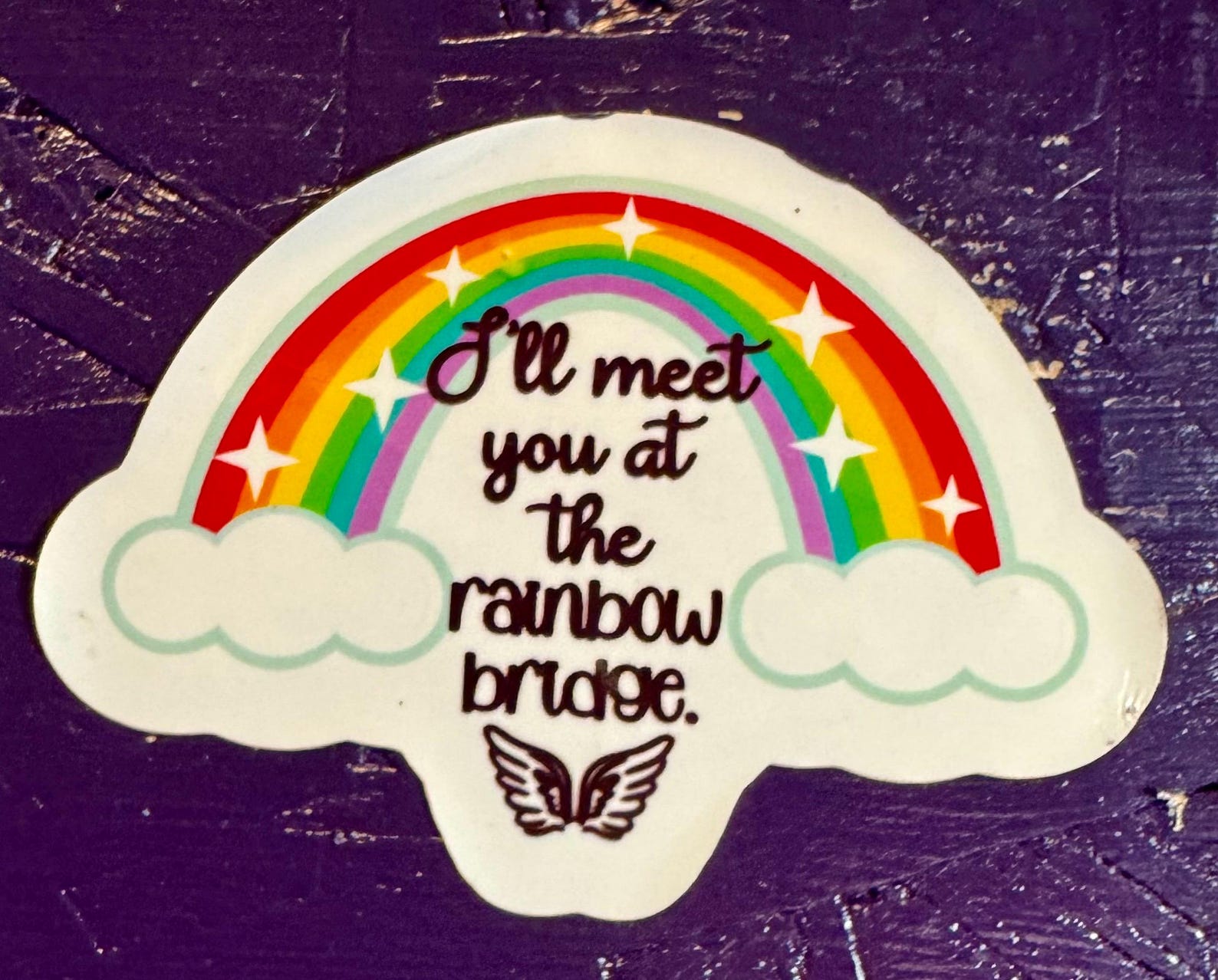 I'll Meet You at the Rainbow Bridge - Etsy