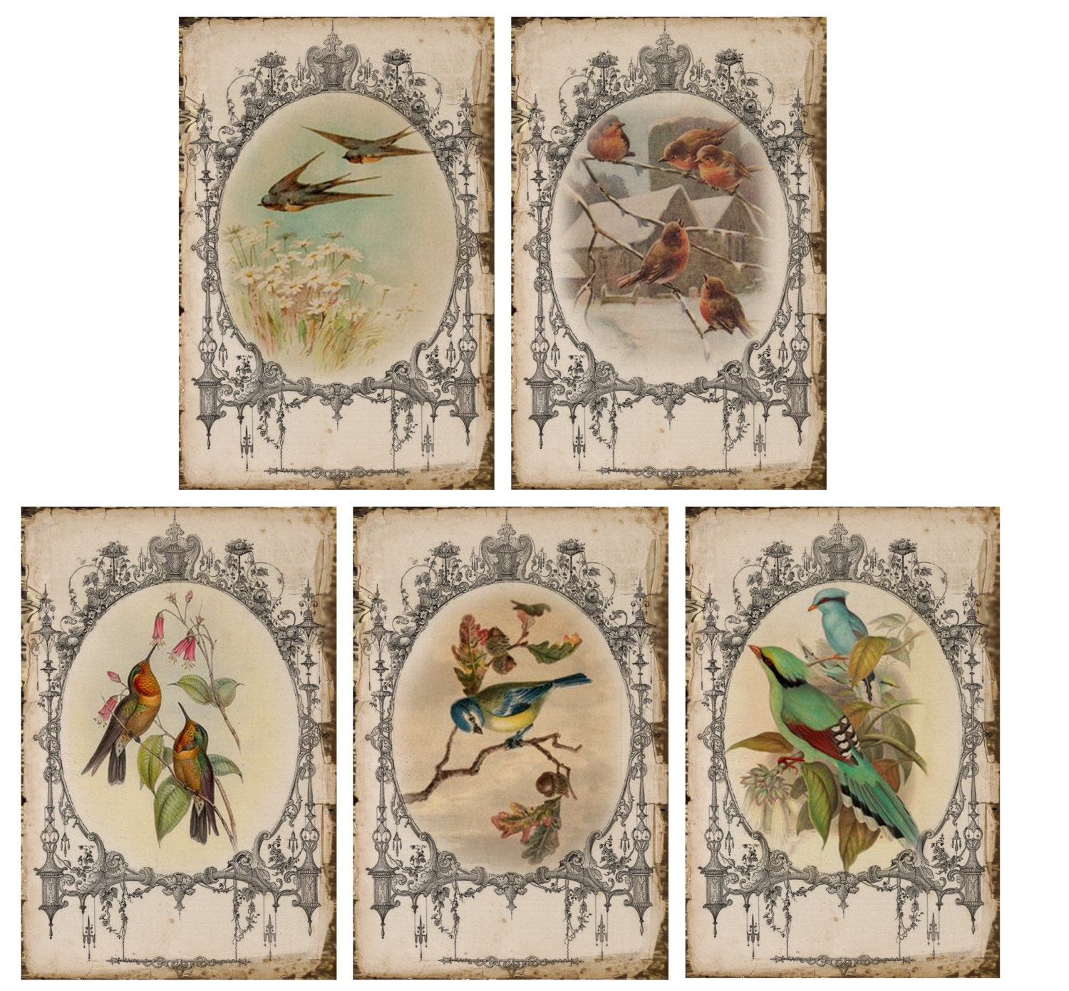 10 Printable Vintage Bird Tags - Etsy