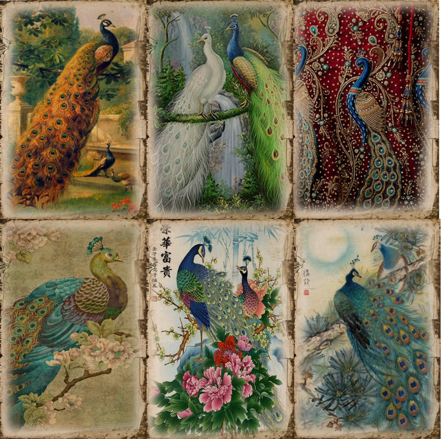 10 Printable Shabby Peacock Tags - Etsy