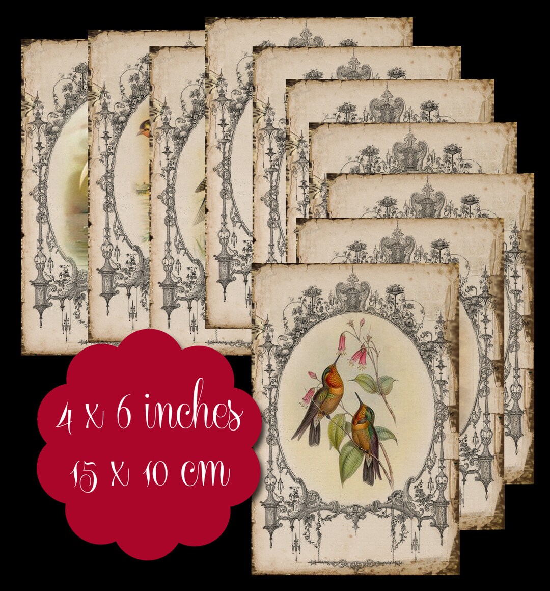 10 Printable Vintage Bird Tags - Etsy