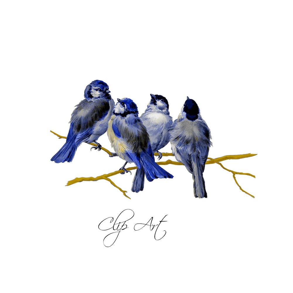 Sapphire Blue Spring Clip Art - Instant Download - Bird Png - for ...