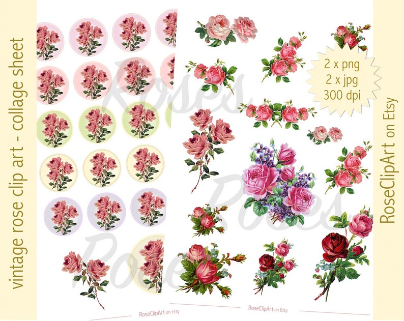 Digital Rose Clipart - Vintage Rose Clusters - Collage Sheets - Instant ...