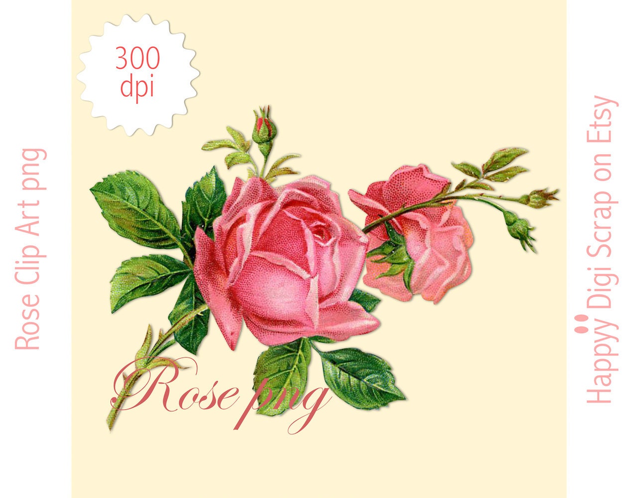 Pink rose clipart commercial use allowed instant download | Etsy
