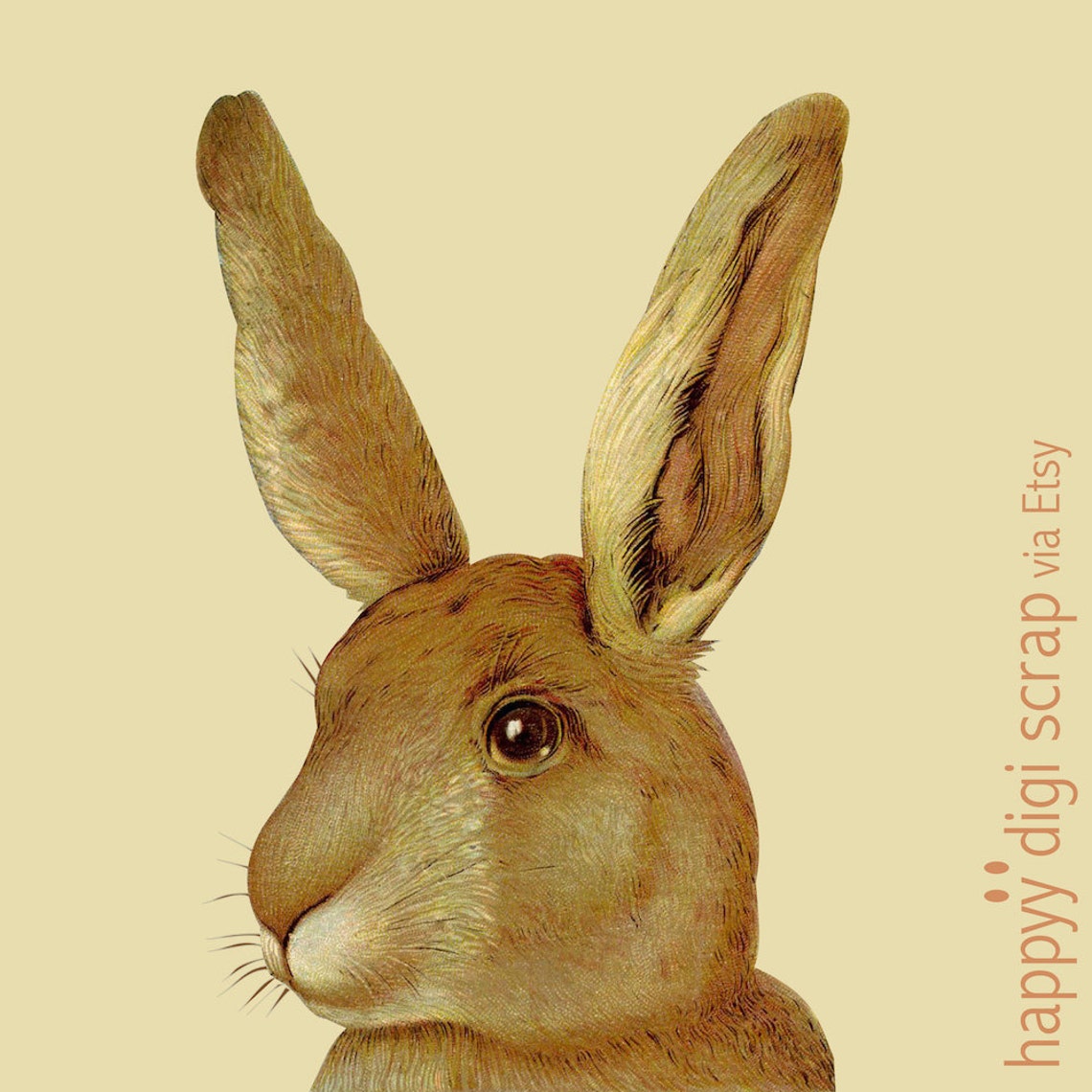 Digital Bunny Png With Transparent Background Vintage Clip | Etsy