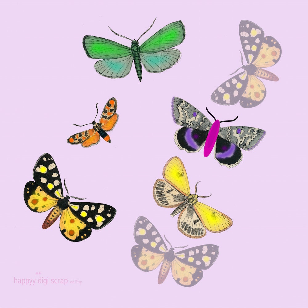 Digital Butterfly Clip Art Set - Instant Download - 5 Butterfly Png ...