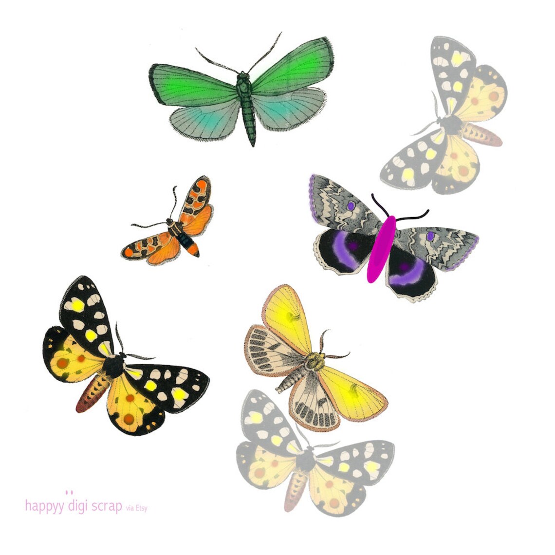Digital Butterfly Clip Art Set Instant Download 5 Butterfly Png ...