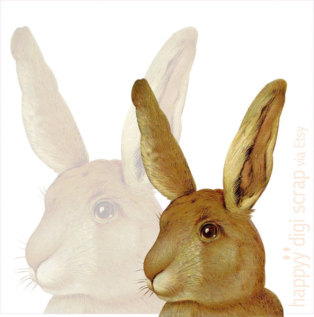 Digital Bunny Png With Transparent Background - Vintage Clip Art - High ...