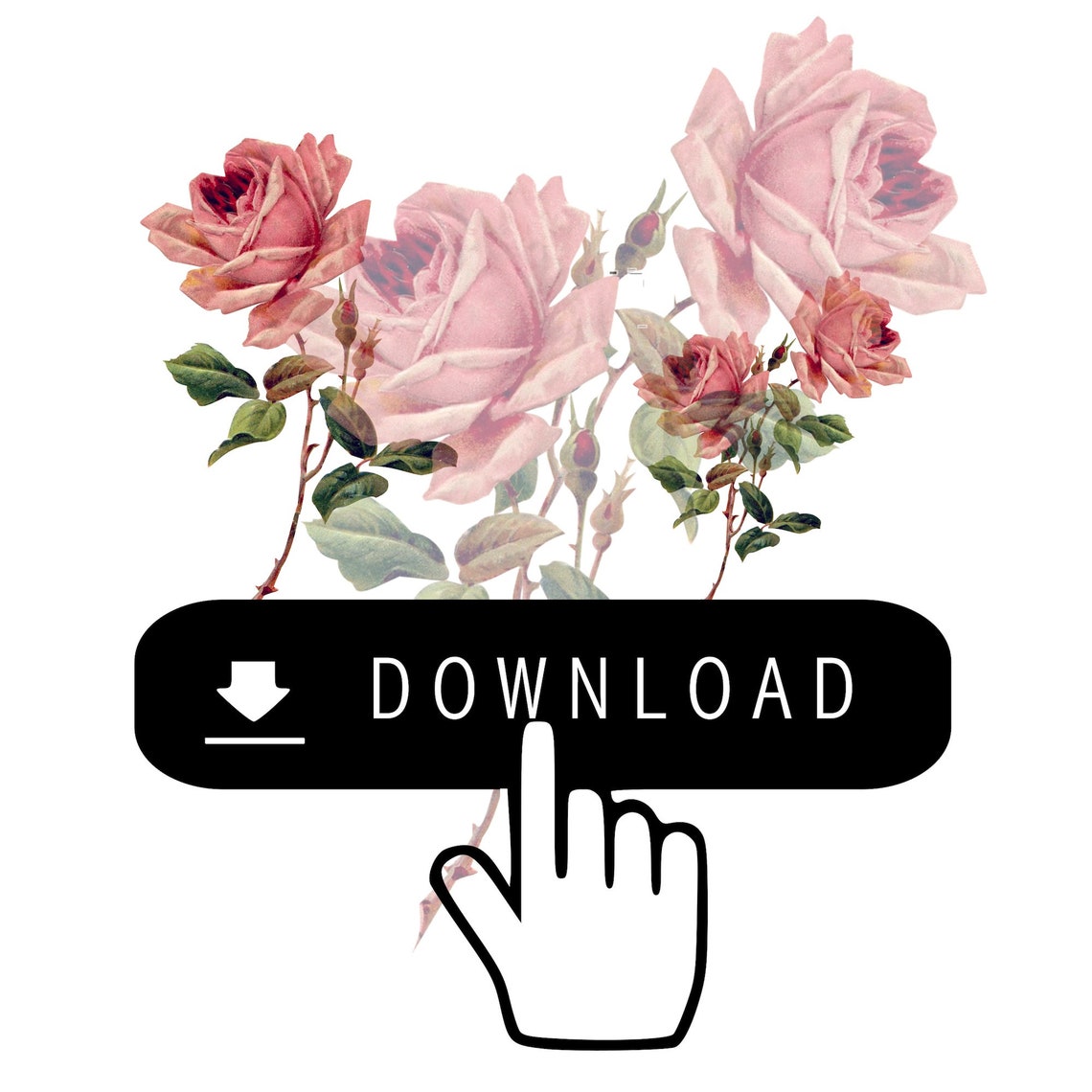 Digital Rose Clip Art - Instant Download - Vintage Rose Png - High ...