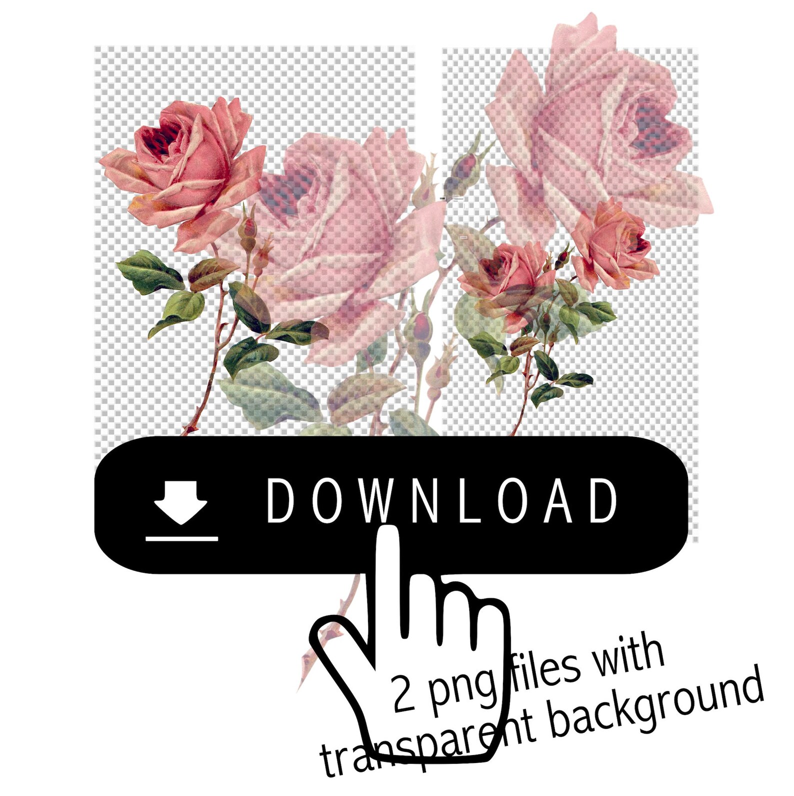 Digital Rose Clip Art - Instant Download - Vintage Rose Png - High ...