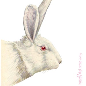 Digital White Bunny Png With Transparent Background - Vintage Clip Art ...