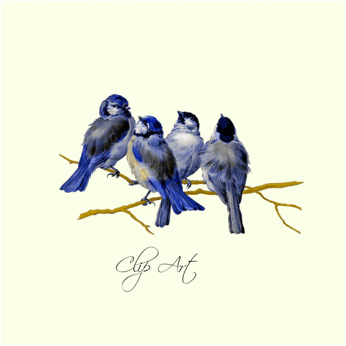 Sapphire Blue Spring Clip Art - Instant Download - Bird Png - for ...
