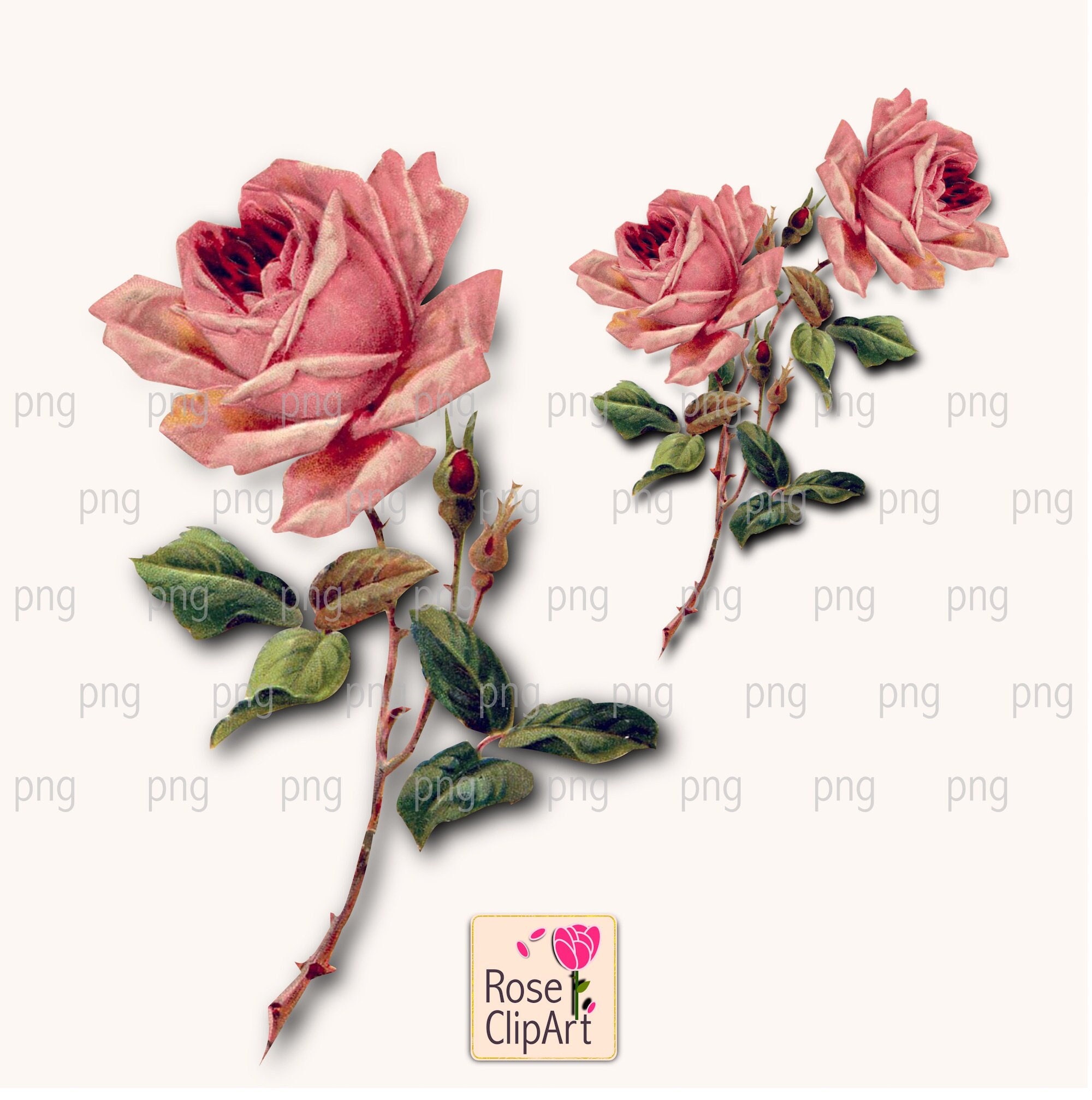 Vintage Rose Clip Art