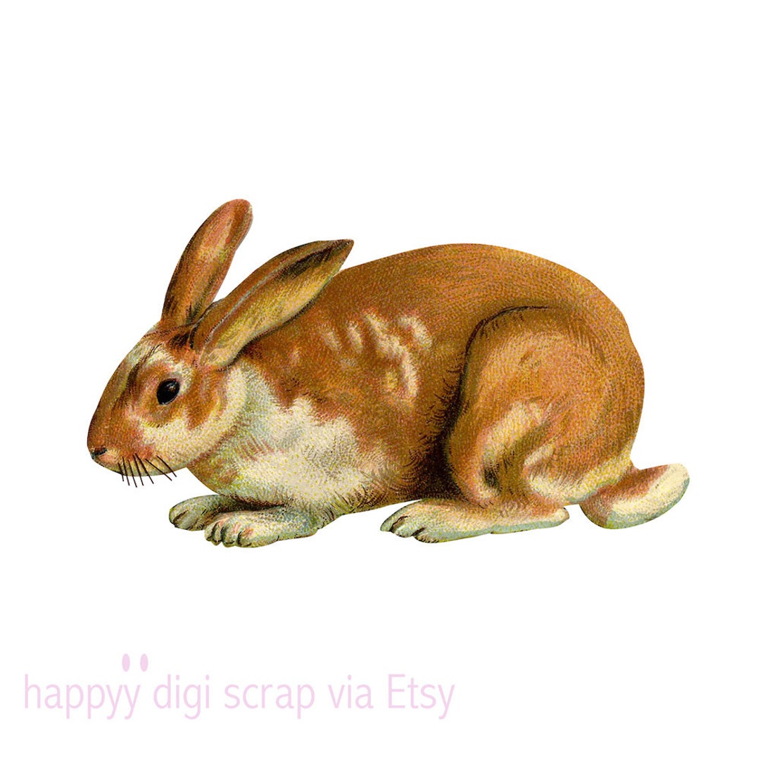 Bunny Clip Art - Instant Download - Vintage Bunny Rabbit Png - High ...