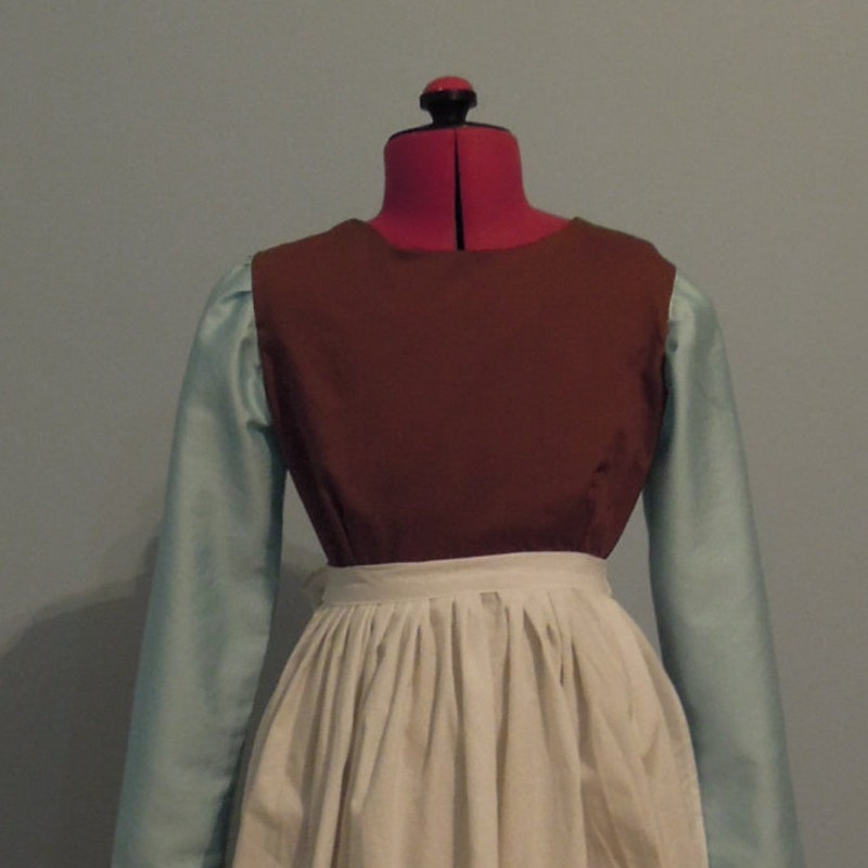 Cinderella Dress Adult - Etsy