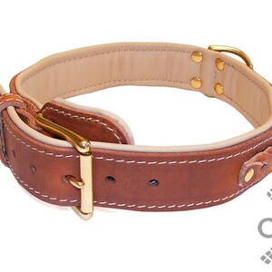 Tan Leather Dog Collar With Interior Nappa Padding Limited - Etsy