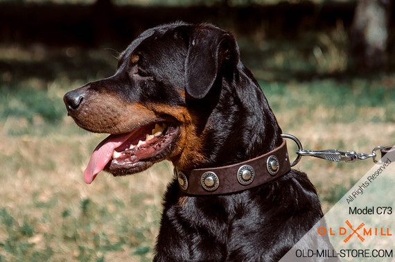 What Size Choke Chain For Rottweiler